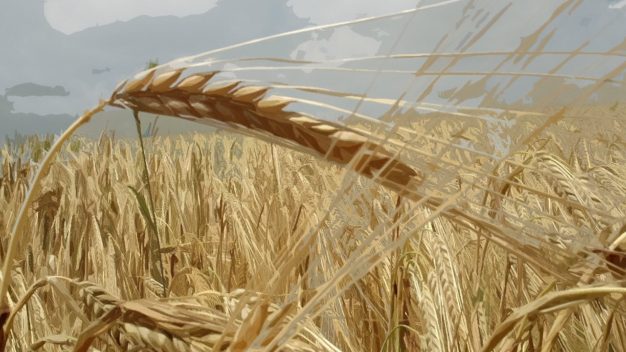 Investeren in de toekomst – Verruim de horizon